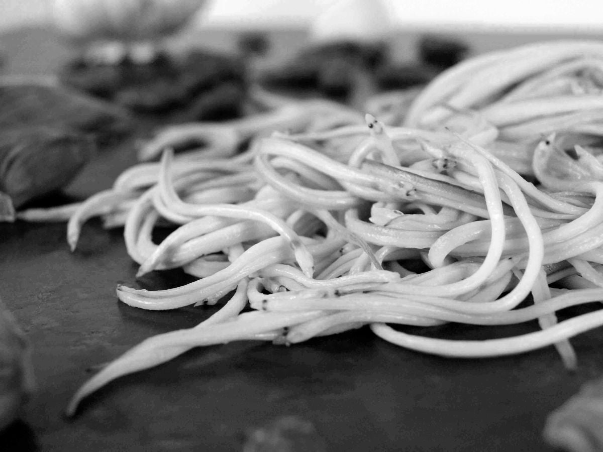 Comprar online angula. Pescado Gallego | MARISCO RÍAS BAJAS – Marisco ...